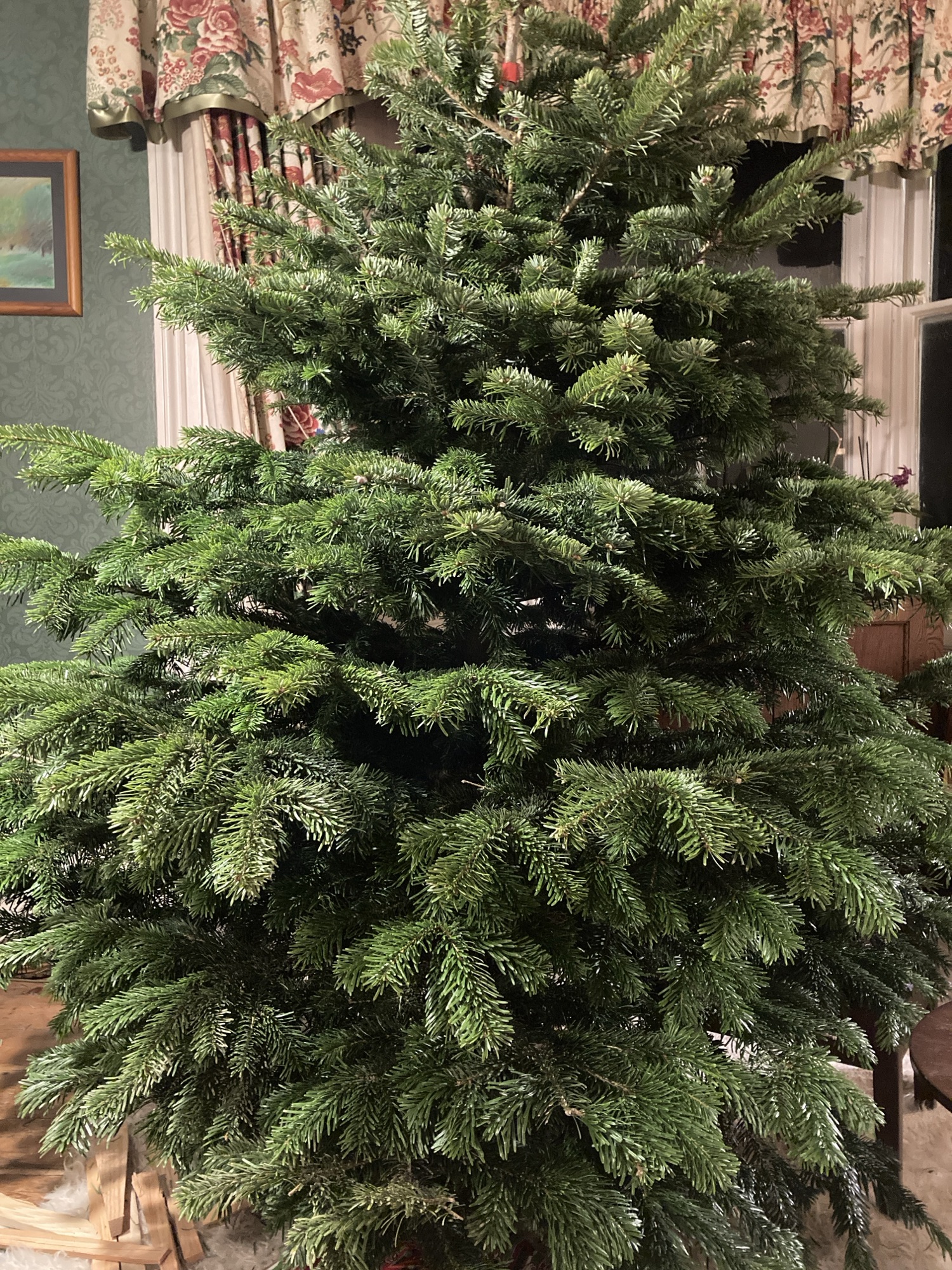 Trees and toddlers – SpinningStreak